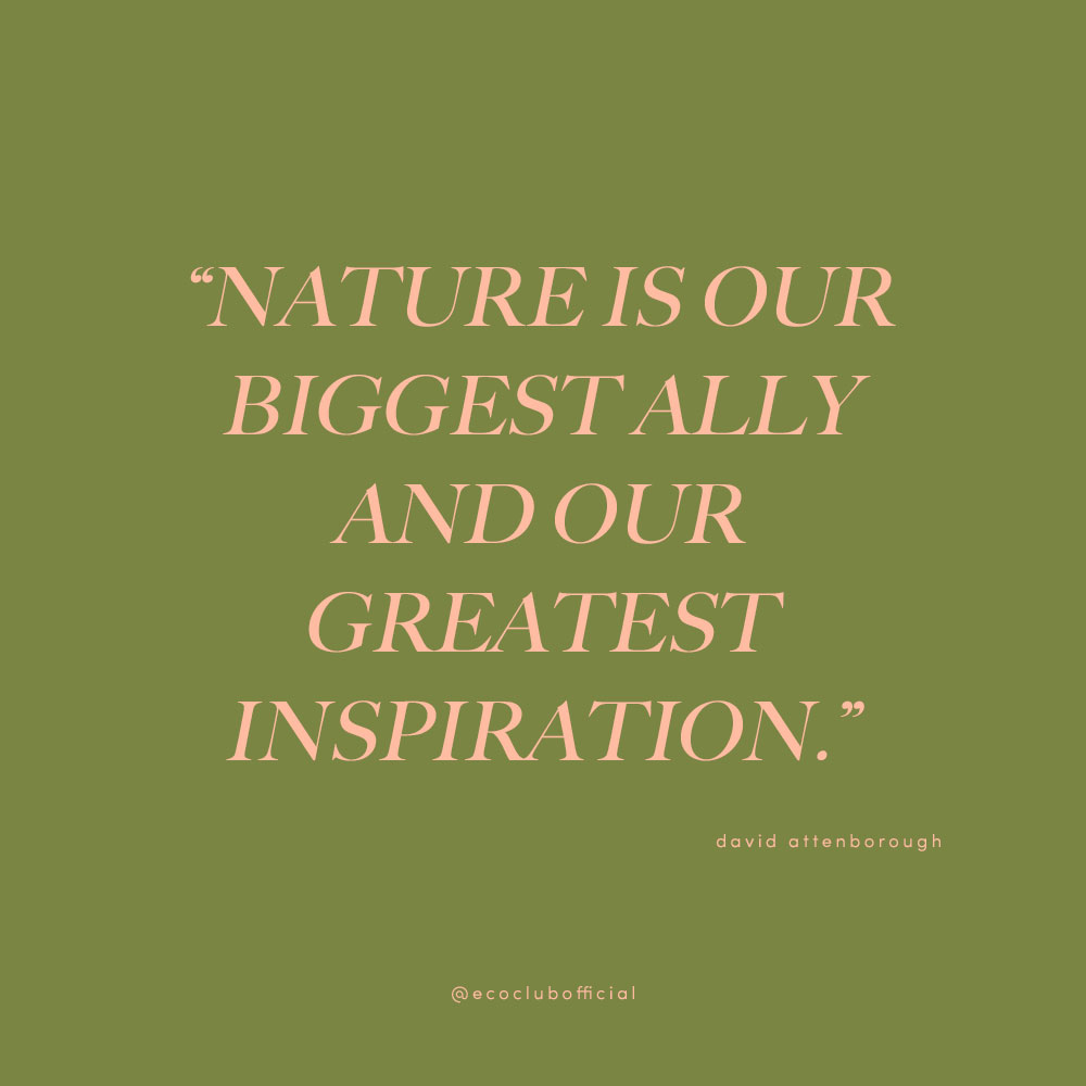 David Attenborough Quotes | Environment Quotes | Eco Club